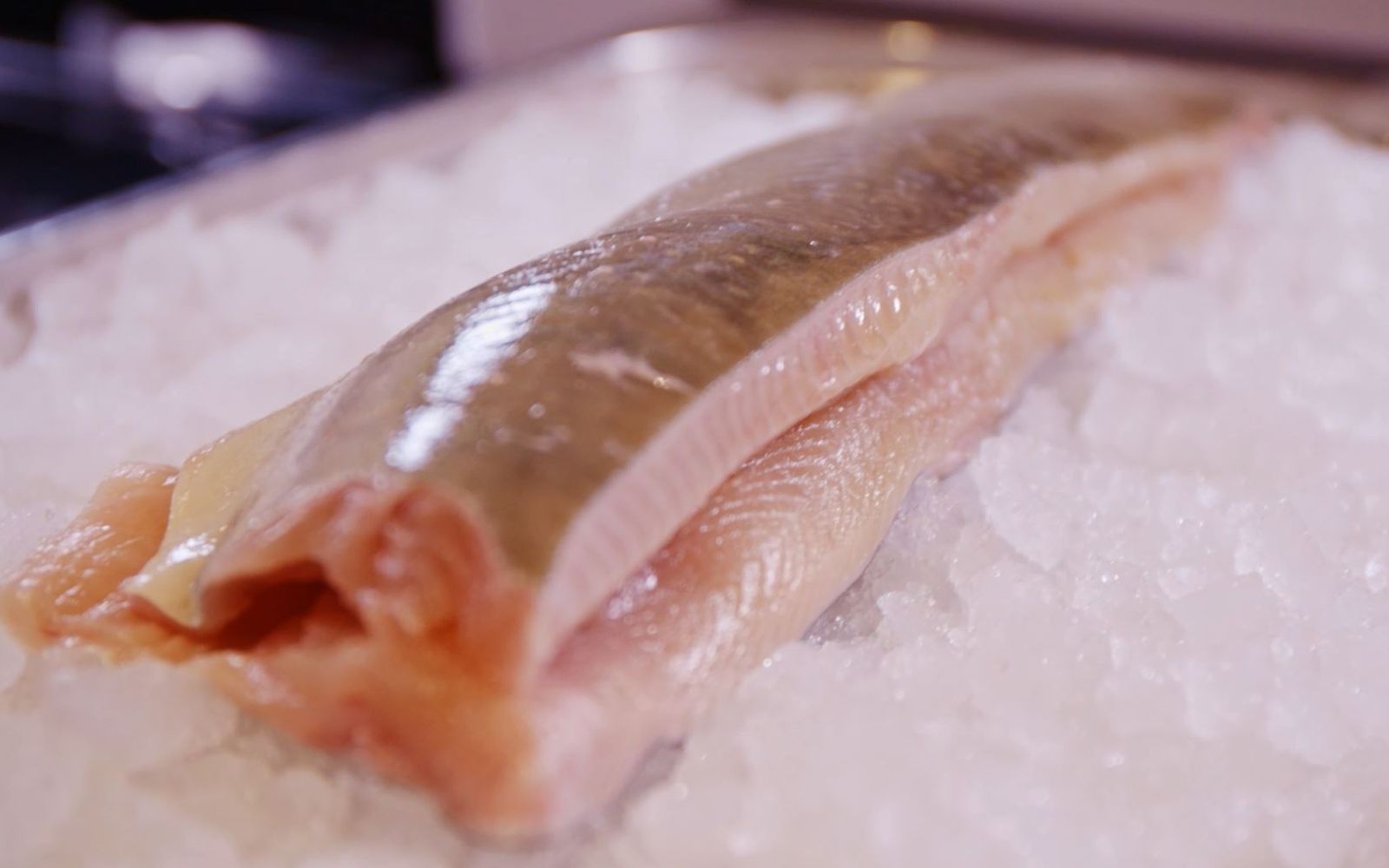 Seesaibling filetieren – so geht's | Anleitung von 7Hauben